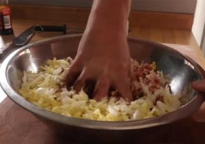 Australian Dim Sim Recipe - Delicious Cooks