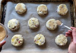 Cranberry Orange Bisconie Costco Recipe - Delicious Cooks